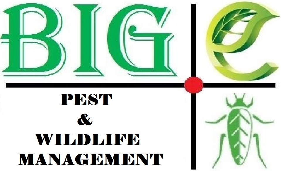 Login to FieldRoutes Field Services Software