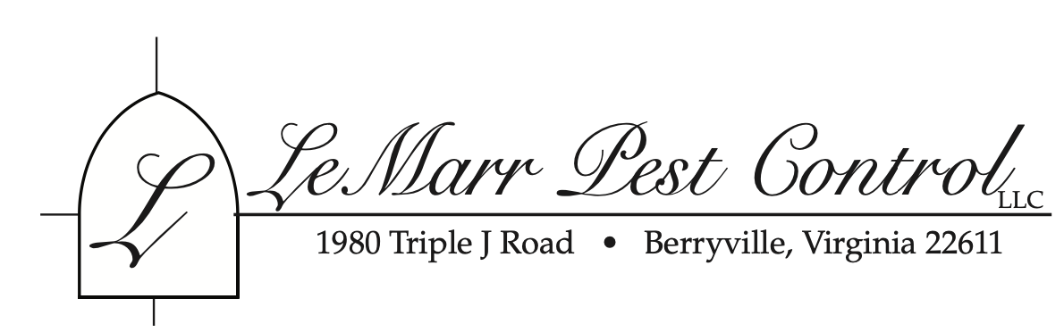 Customer Portal
