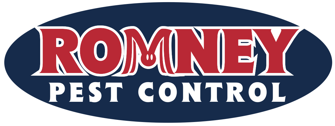 Customer Portal
